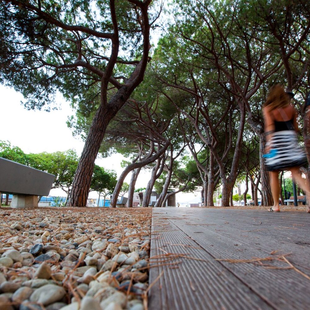 Il centro storico e il suo “Caruggio” - Ceriale, Sito Turistico Ufficiale